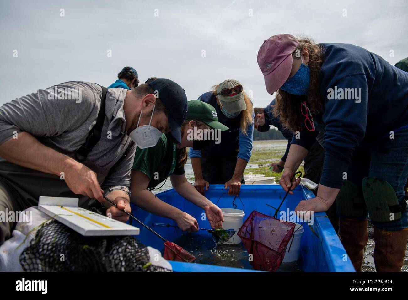 Seining net hi-res stock photography and images - Alamy