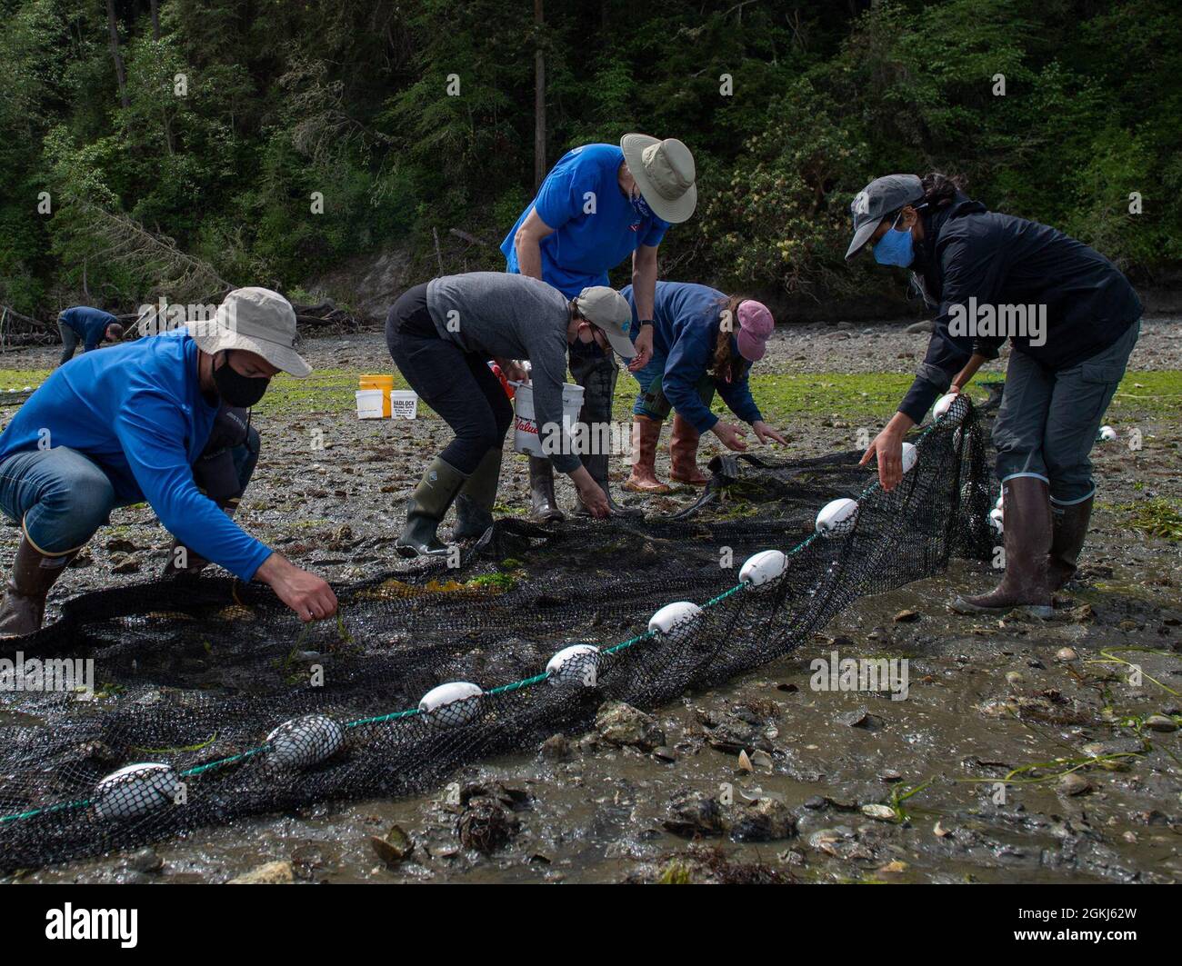 Seining net hi-res stock photography and images - Alamy