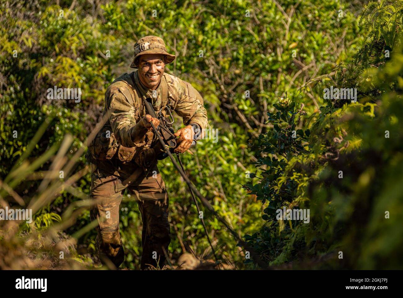 Jungle tab hi-res stock photography and images - Alamy