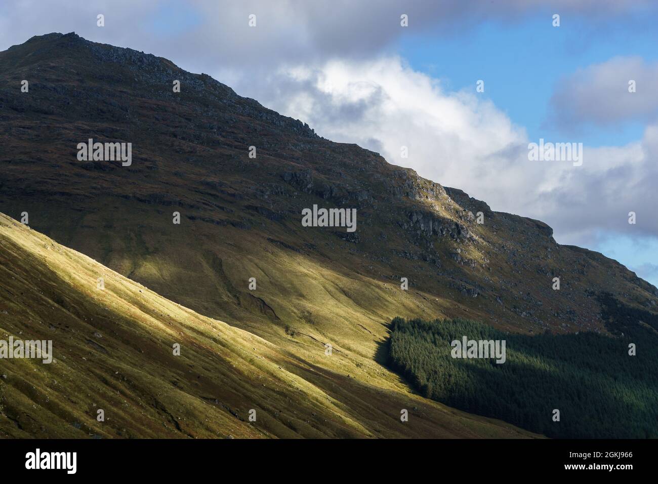 Mountain touched by golden sunlight in beautiful landscape with forest ...
