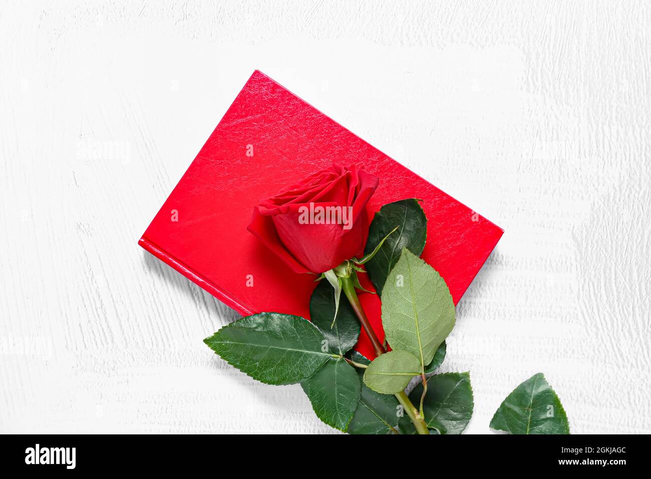 Beautiful rose and book on white background Stock Photo - Alamy