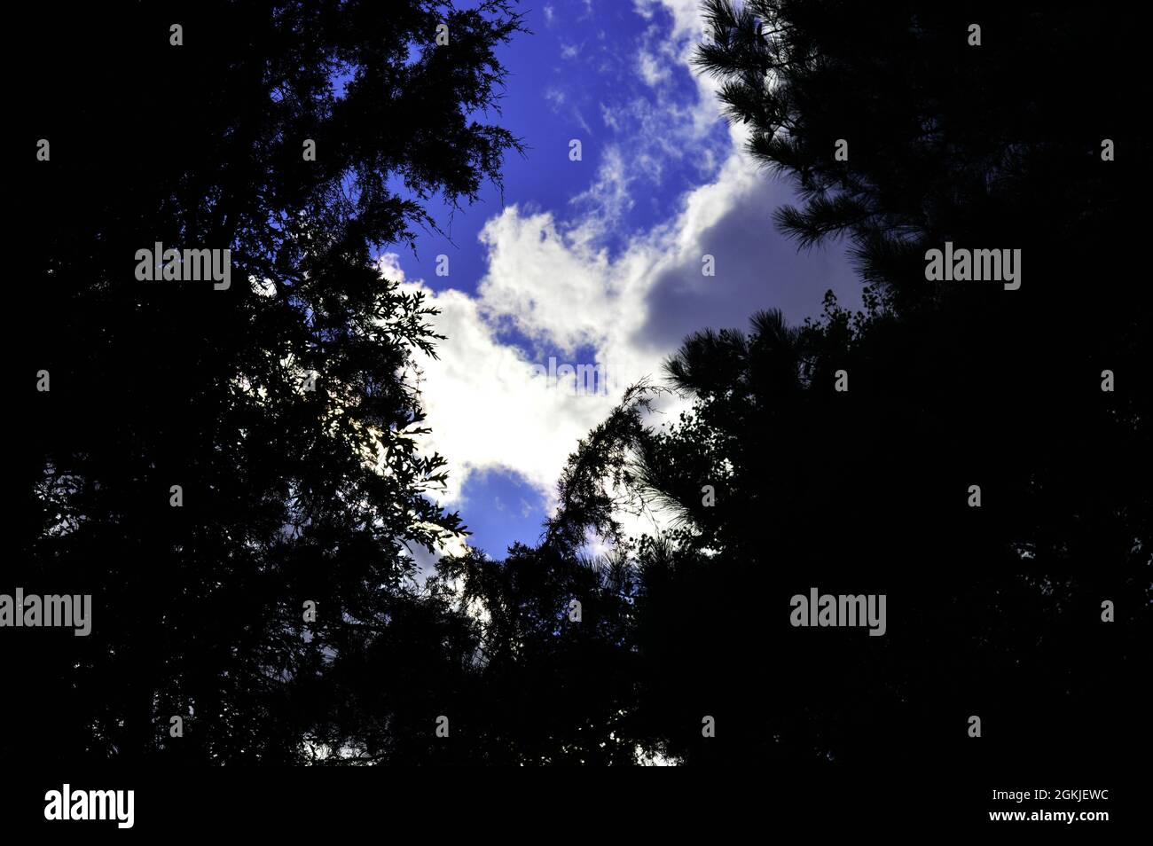 View blue sky clouds through hi-res stock photography and images - Alamy