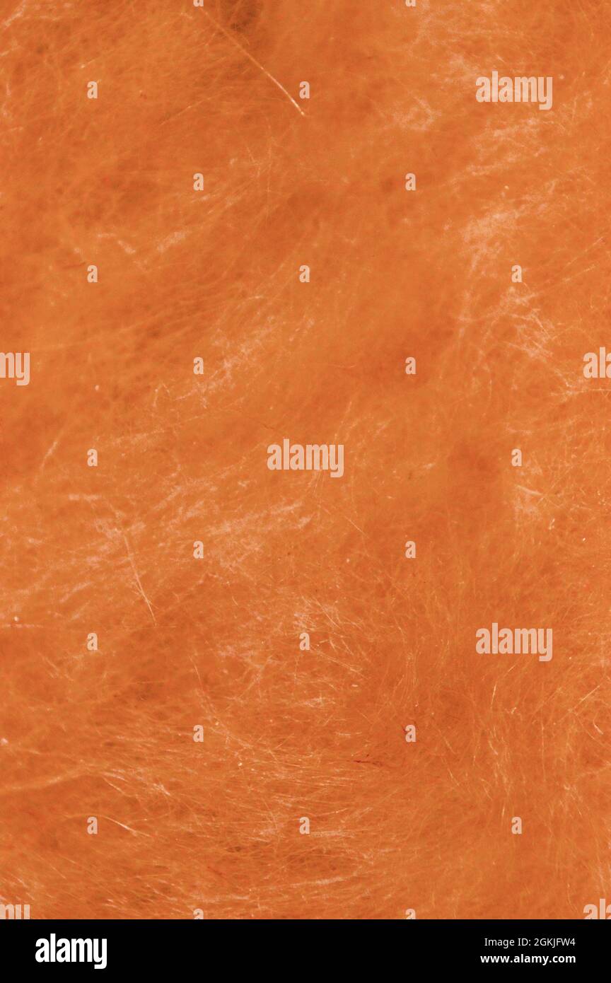 Deep orange colour hi-res stock photography and images - Alamy