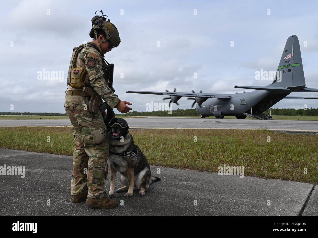 A Military Working Dog attached to the 4th Fighter Wing, Seymour ...