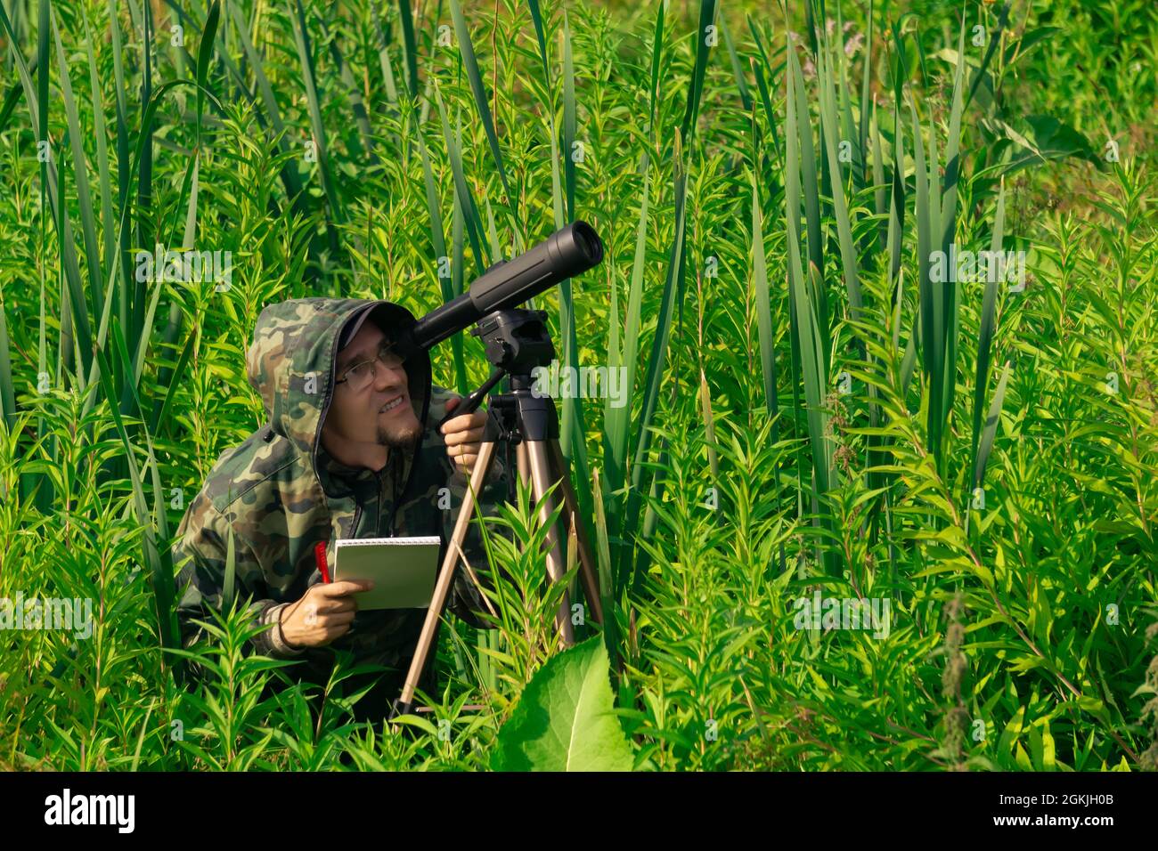 Wildlife observations hi-res stock photography and images - Alamy