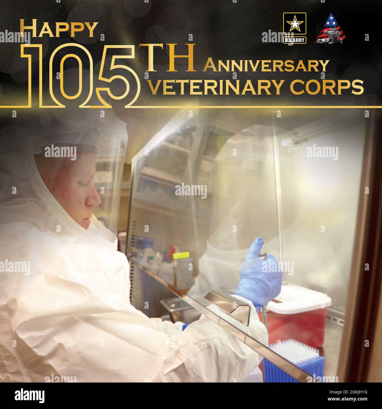 U s army veterinary corps hi-res stock photography and images - Alamy
