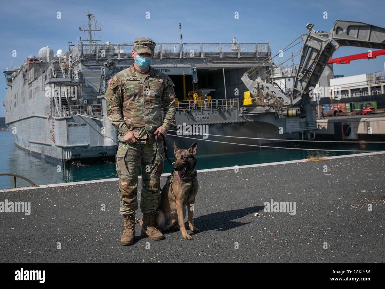 How Do I Ship A Dog To Germany