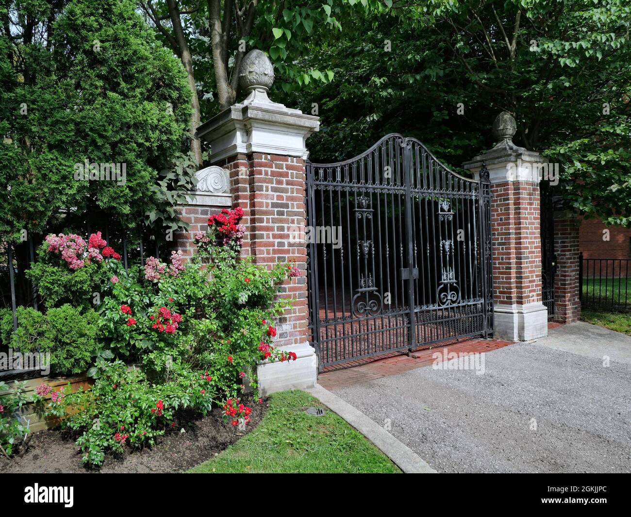 Closed gate of gated home or mansion, with climbing rose bushes Stock ...