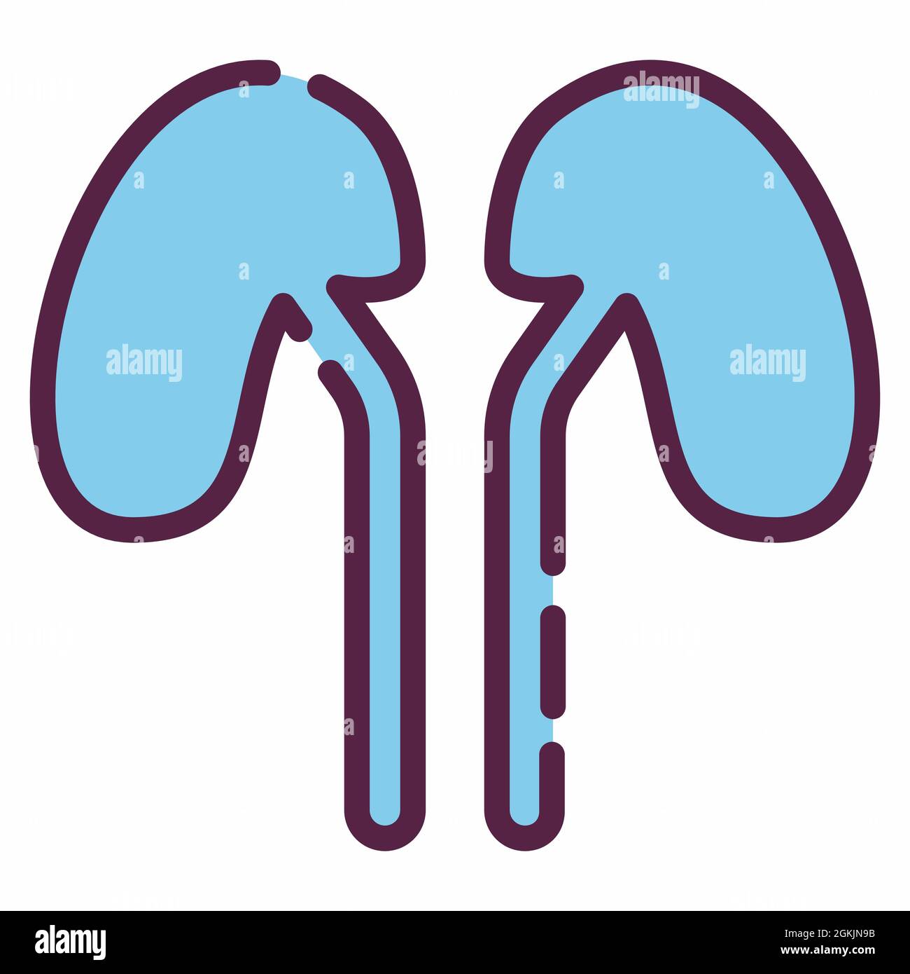 Icon Vector of Kidney - Line Cut Style - Simple illustration, Editable ...