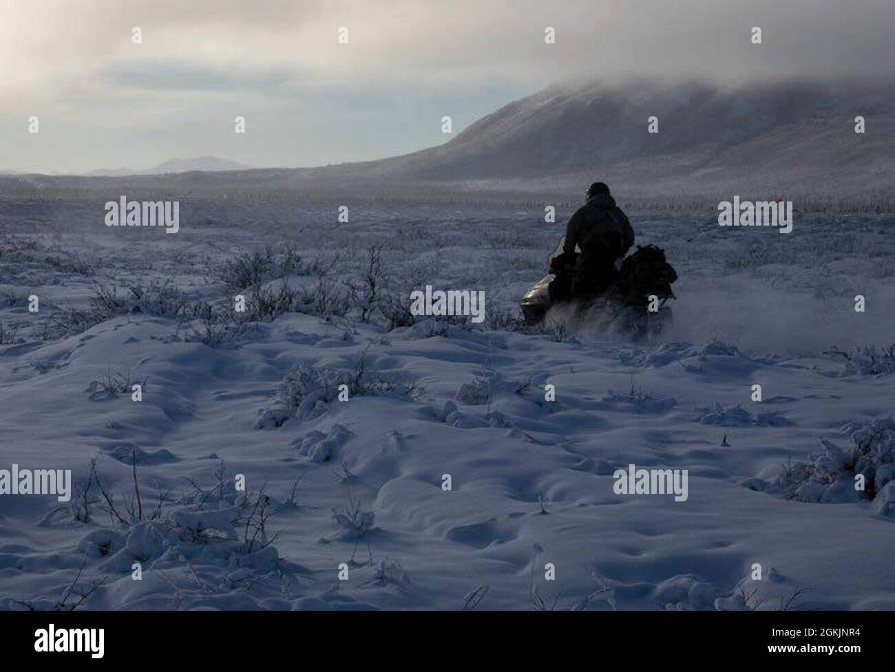 Regaining arctic dominance hi-res stock photography and images - Alamy
