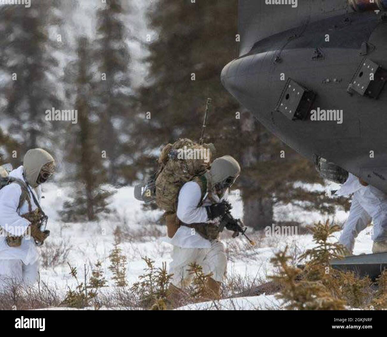 Regaining arctic dominance hi-res stock photography and images - Alamy