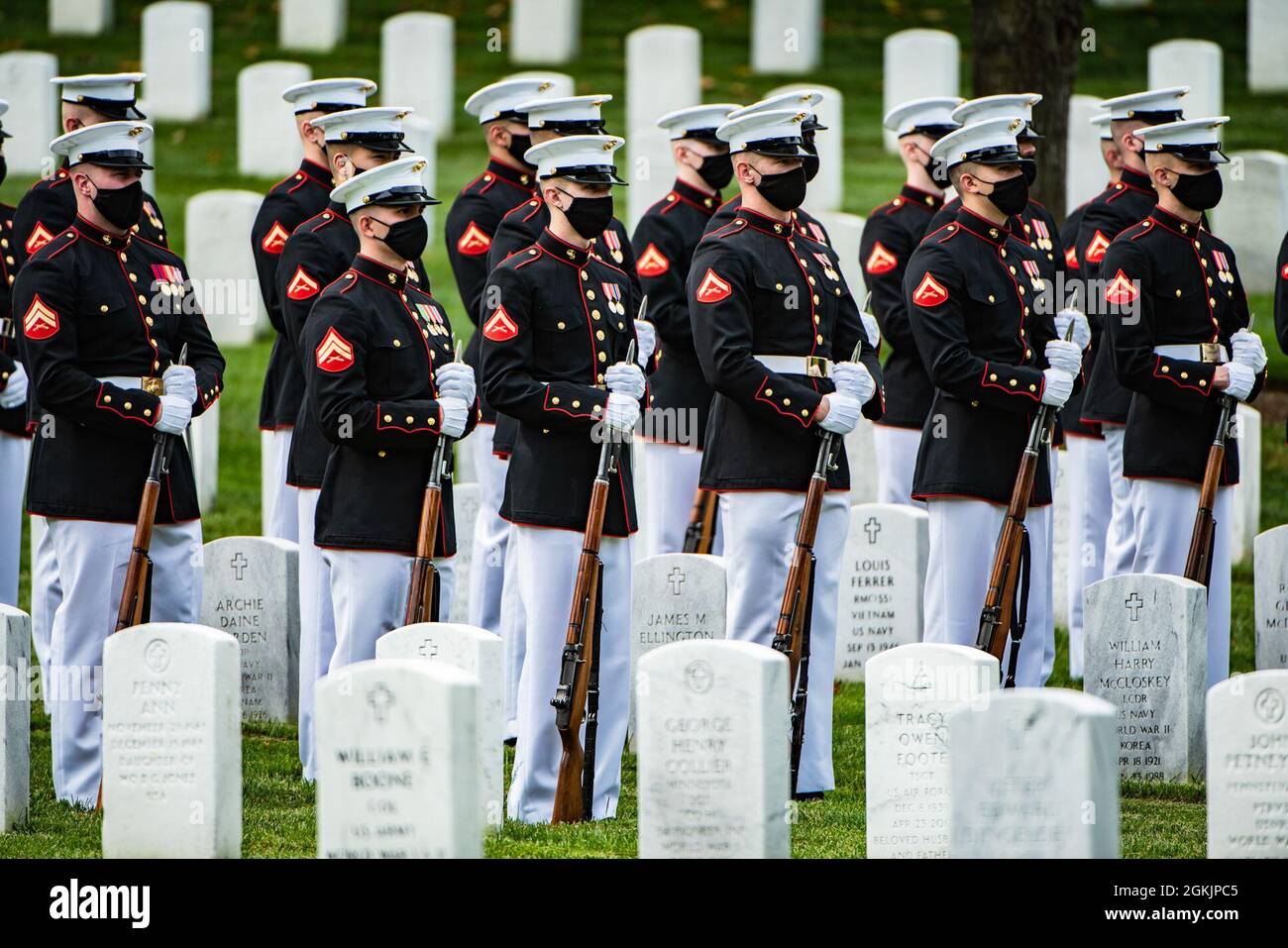 The 3d U.S. Infantry Regiment (The Old Guard) Caisson Platoon, Marines ...