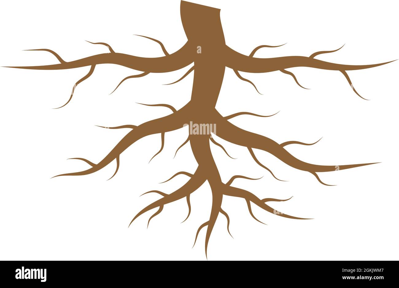 Green roots root wood Stock Vector Images - Alamy