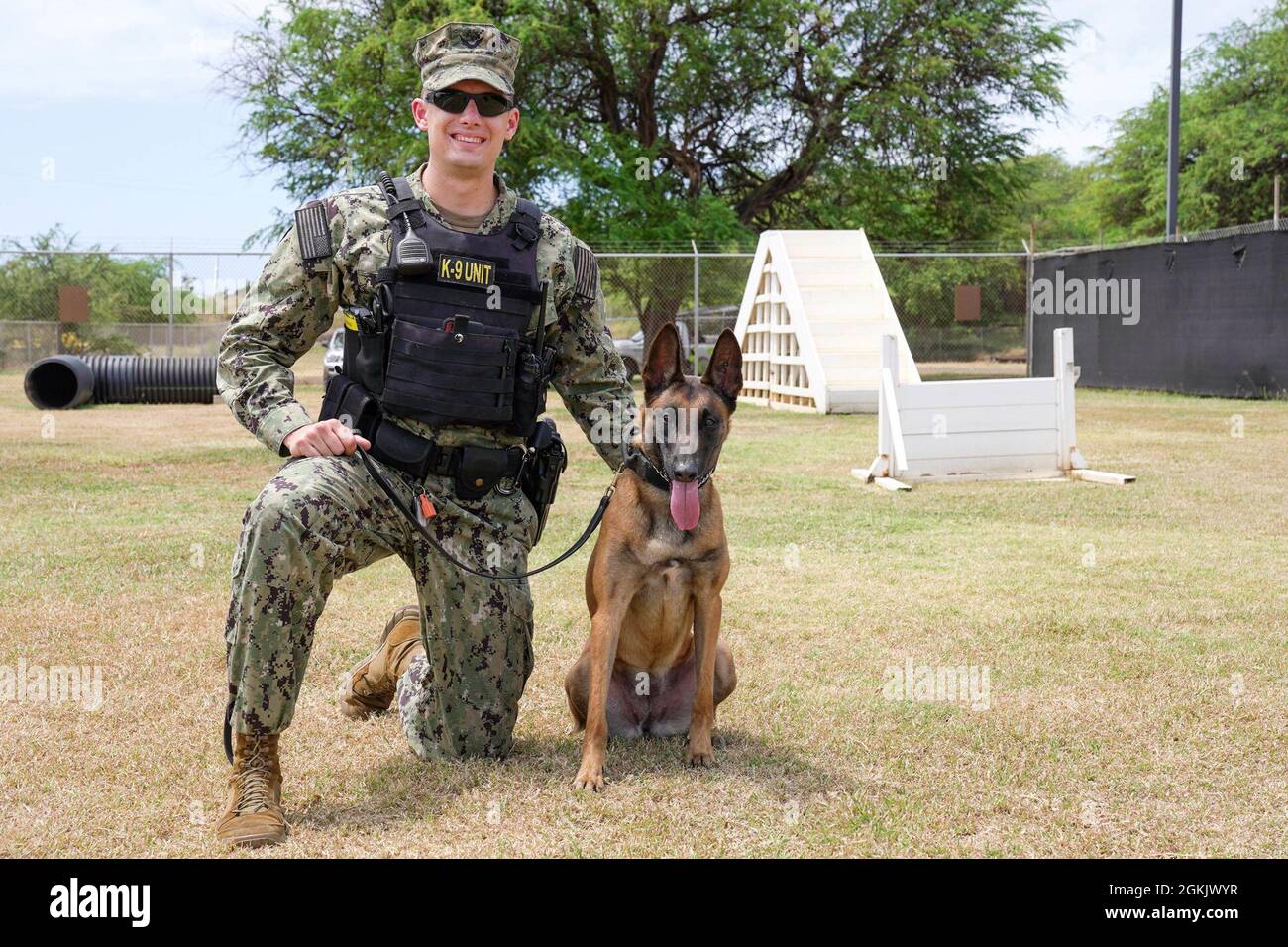 What Are Working Class Dogs