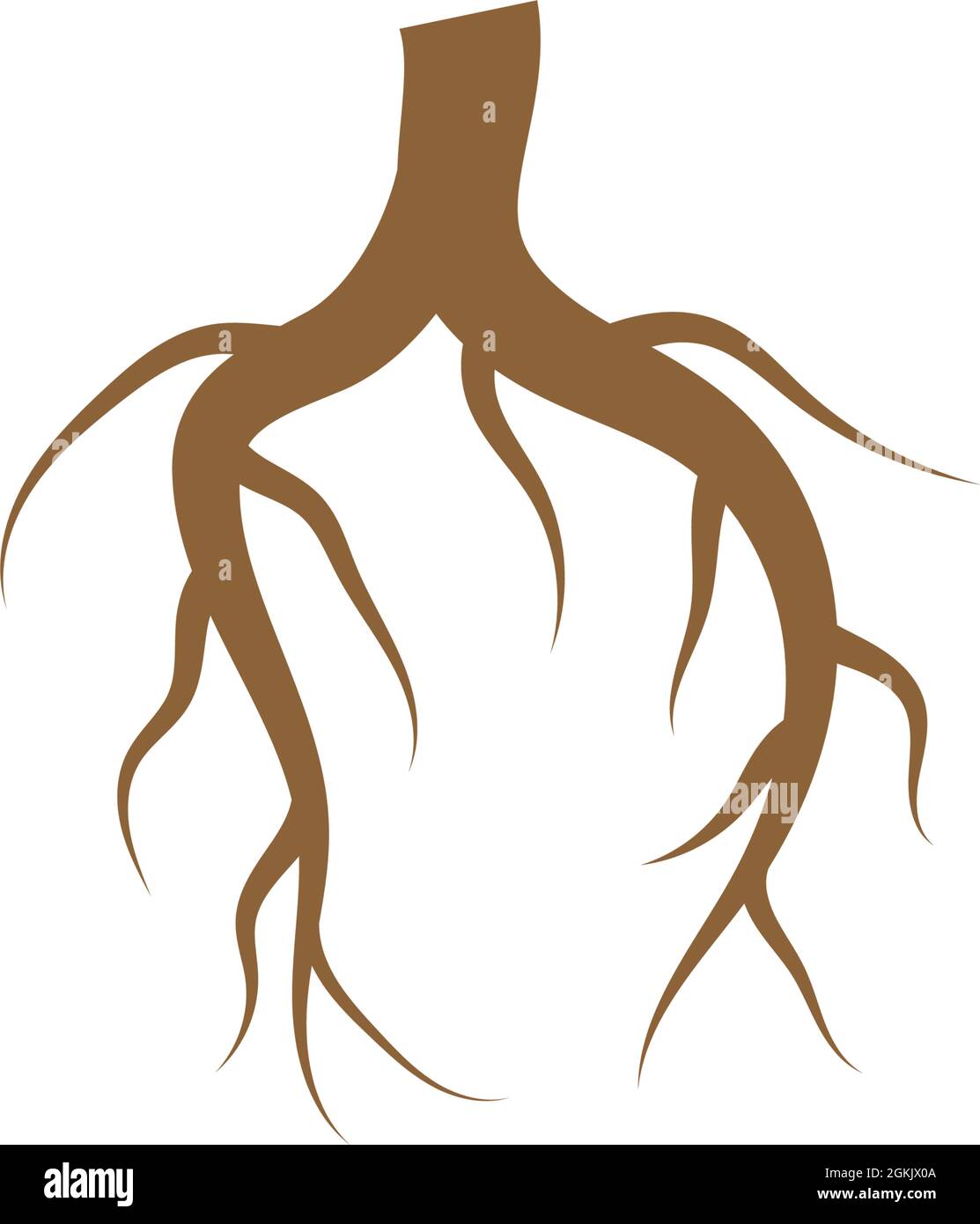 Black tree silhouette illustration roots Cut Out Stock Images ...