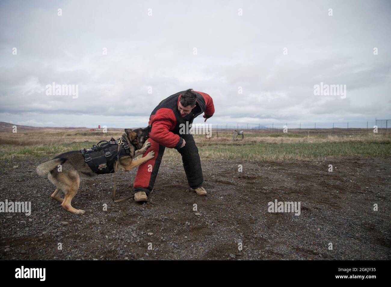 U s marine field artillery detachment hi-res stock photography and ...