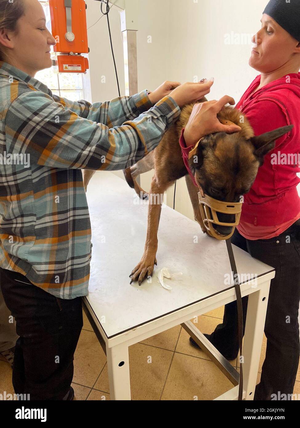 Nowy bugaj hi-res stock photography and images - Alamy