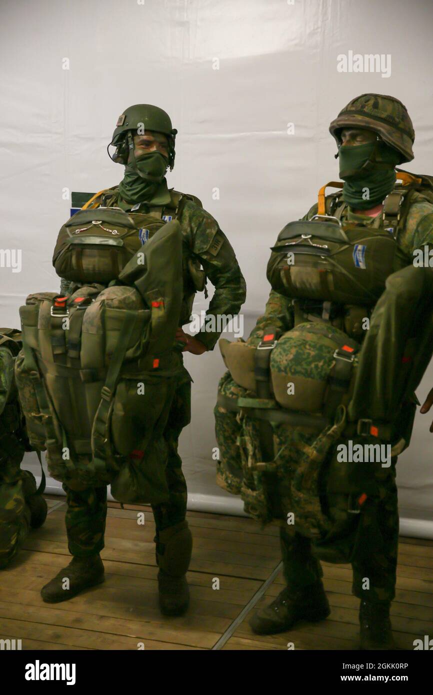 Netherlands soldiers assigned to 11th Airborne Battalion stand and ...