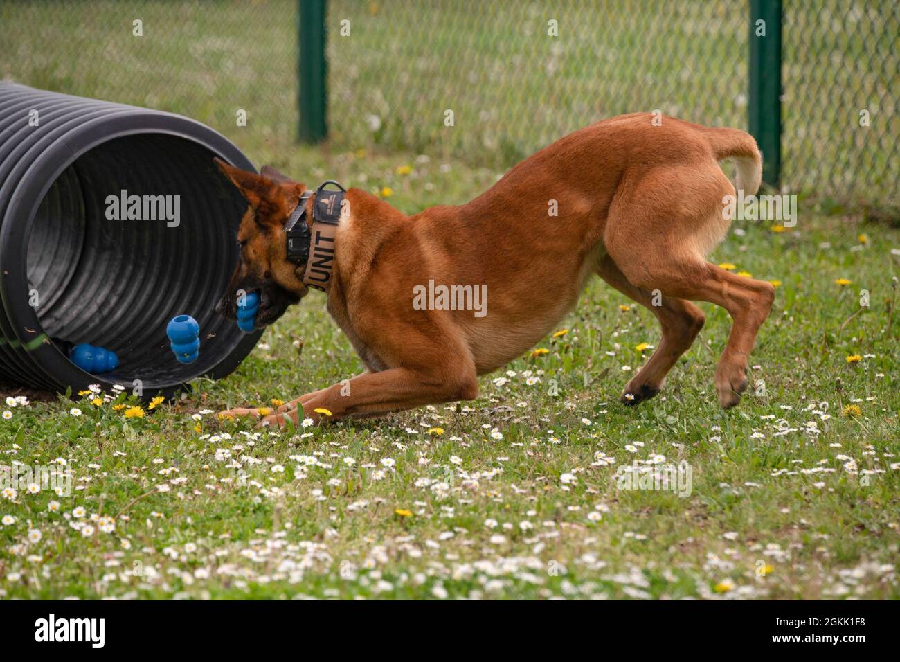 U.S. Soldiers with 100th , 131st and 525th combined military working ...