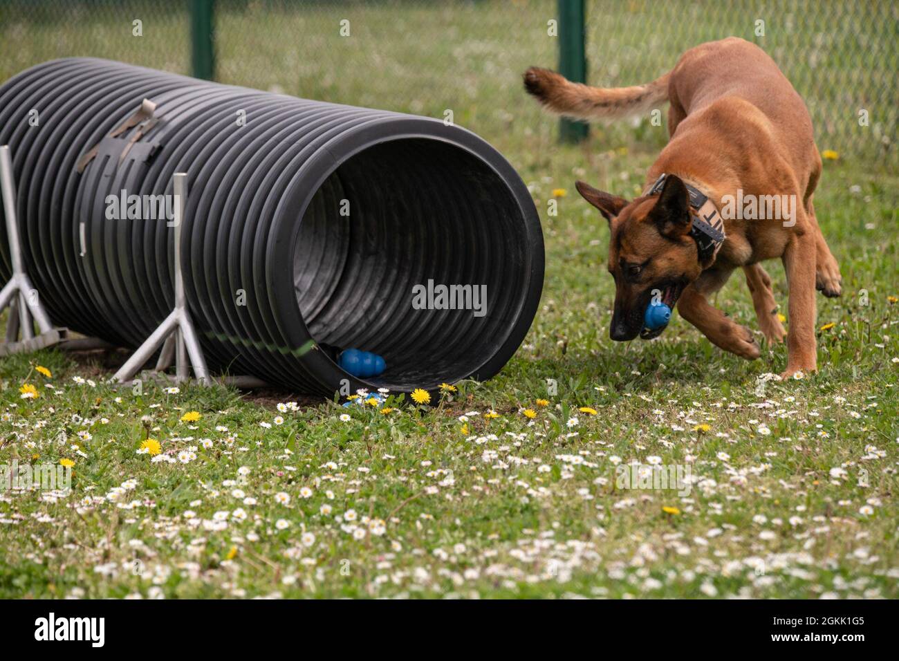 U.S. Soldiers with 100th , 131st and 525th combined military working ...