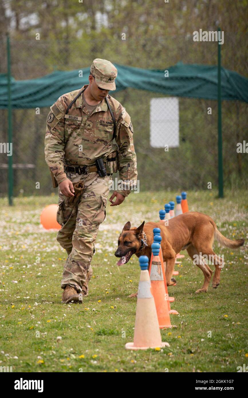 100th military working dog detachment hi-res stock photography and ...