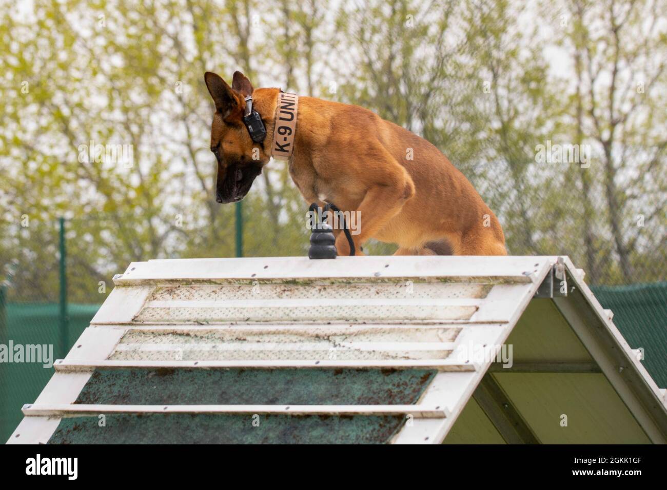 U.S. Soldiers with 100th , 131st and 525th combined military working ...