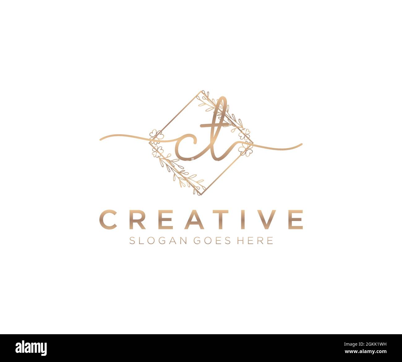 CT Feminine logo beauty monogram and elegant logo design, handwriting ...