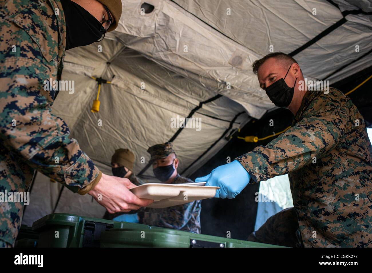 U.S. Marine Brig. Gen. Karl D. Pierson, Commanding General, 4th Marine ...