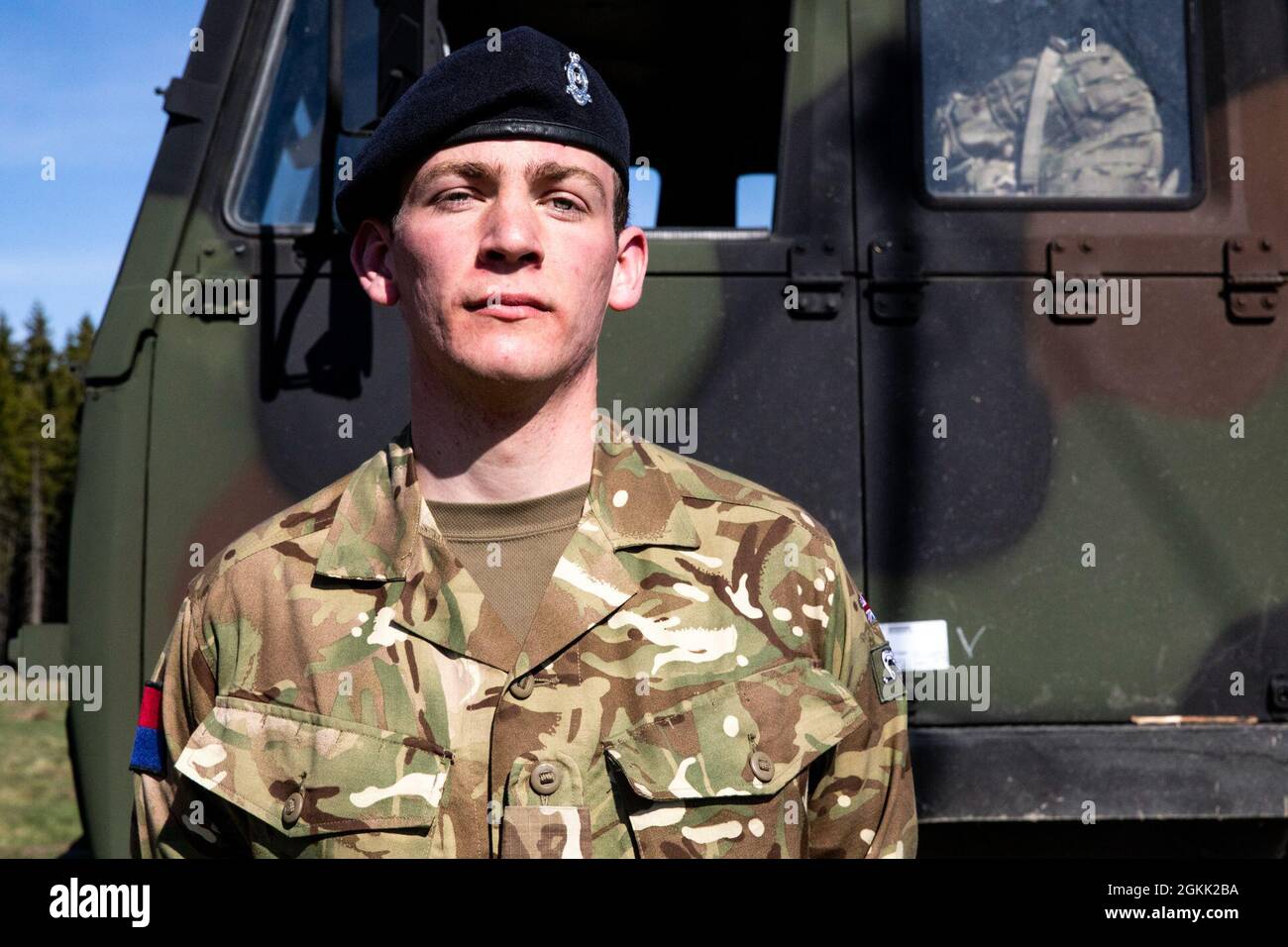 Royalhorseartillery hi-res stock photography and images - Alamy