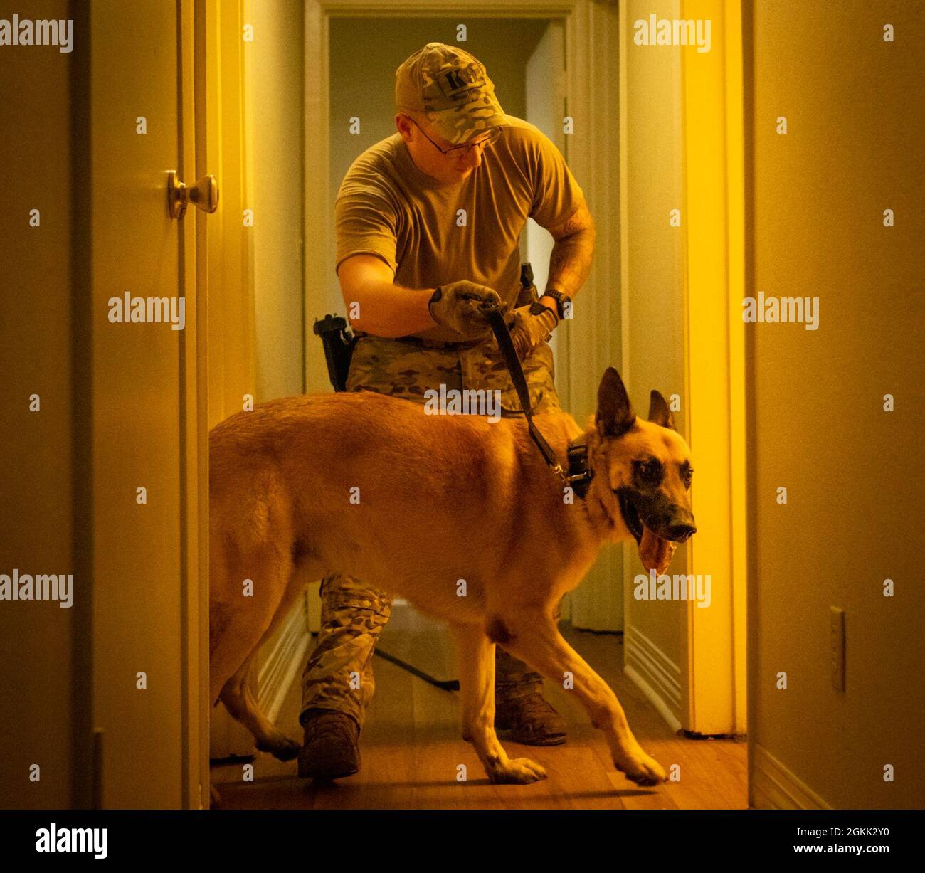 David bischoff hi-res stock photography and images - Alamy