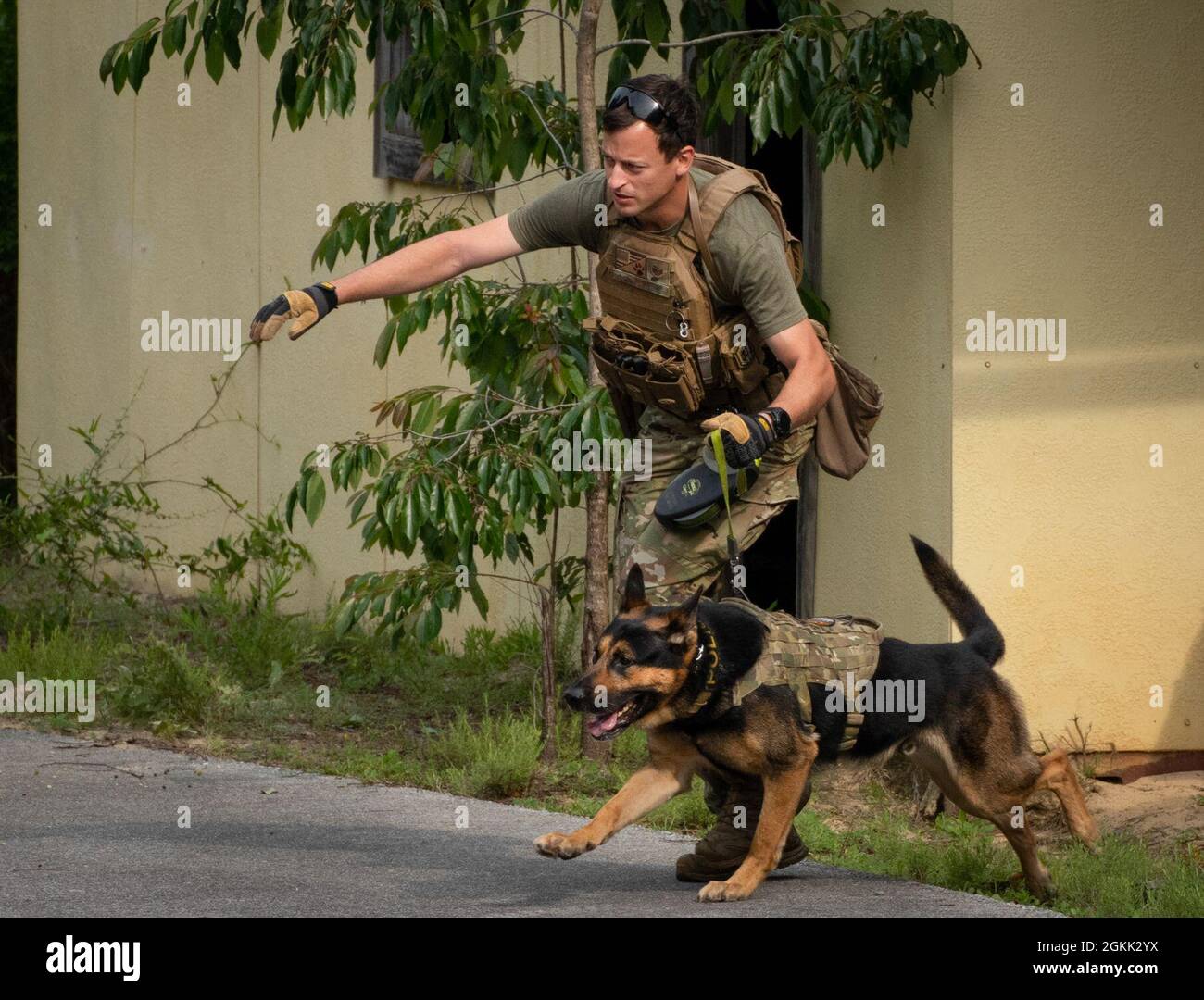Staff Sgt. Michael Pigg and Military Working Dog Nelson, 1st Special ...