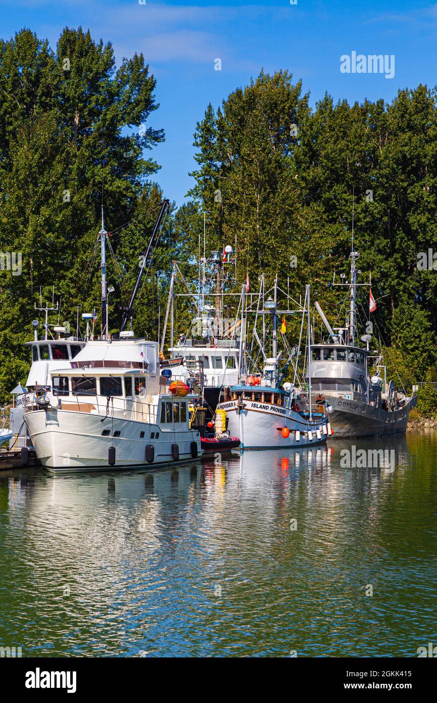 Commercial fishing boats and pleasure craft docked in Ladner Harbour on ...