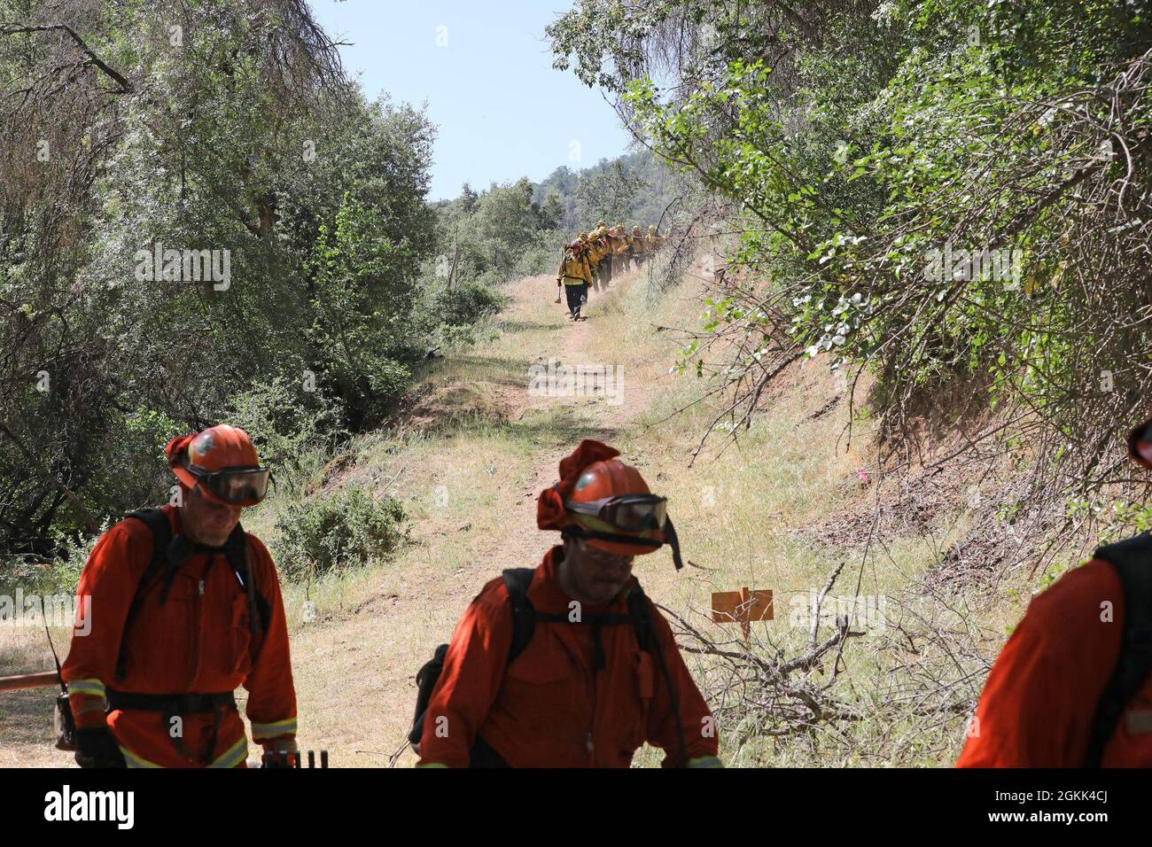 California National Guard Joint Task Force Rattlesnake (Fresno), Alpha ...
