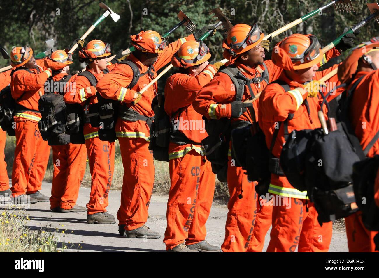 California Department of Corrections and Rehabilitation (DEPCOR ...