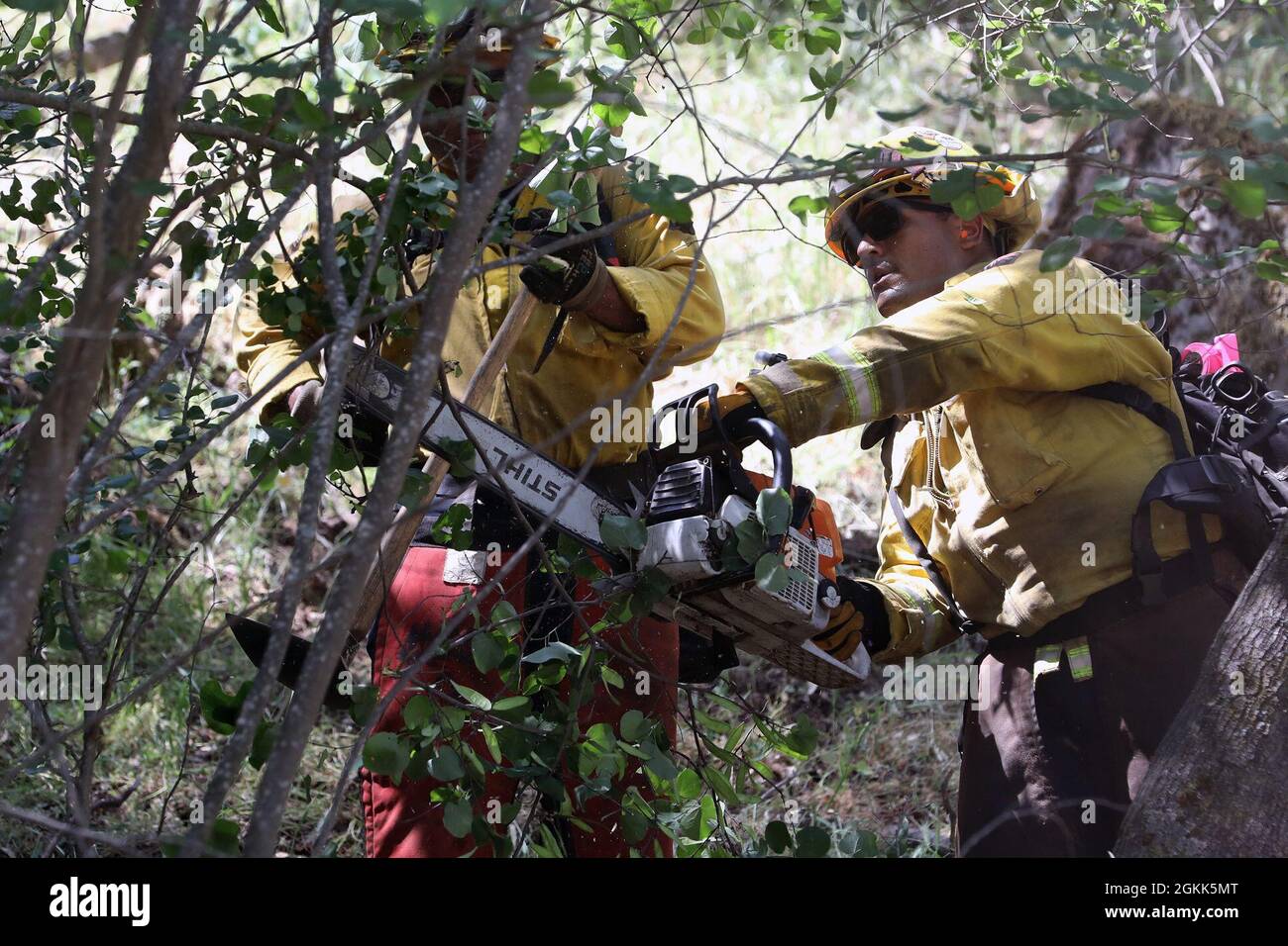 Joint task force rattlesnake hi-res stock photography and images - Alamy