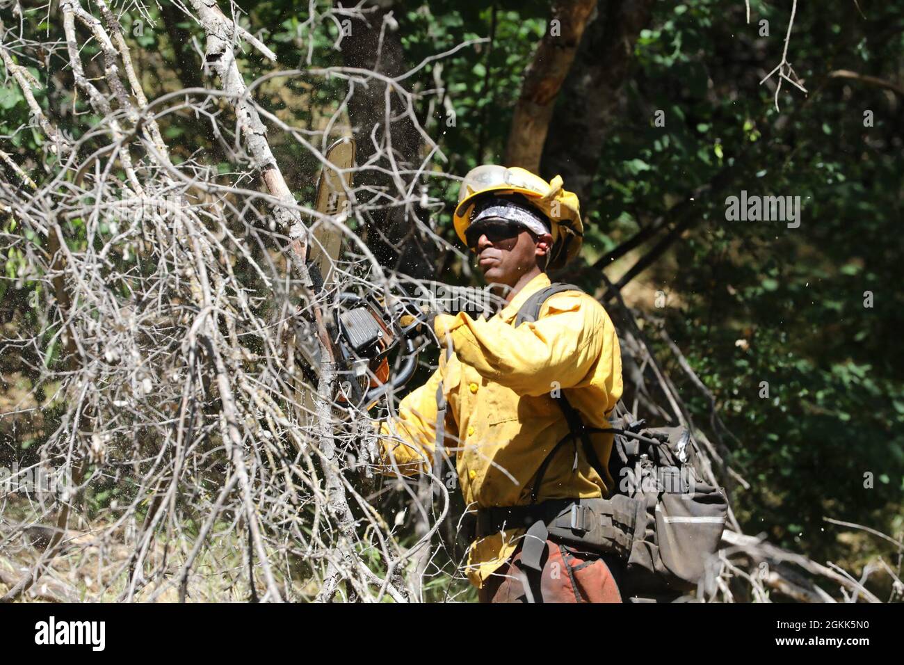 A California National Guardsman from Joint Task Force Rattlesnake ...