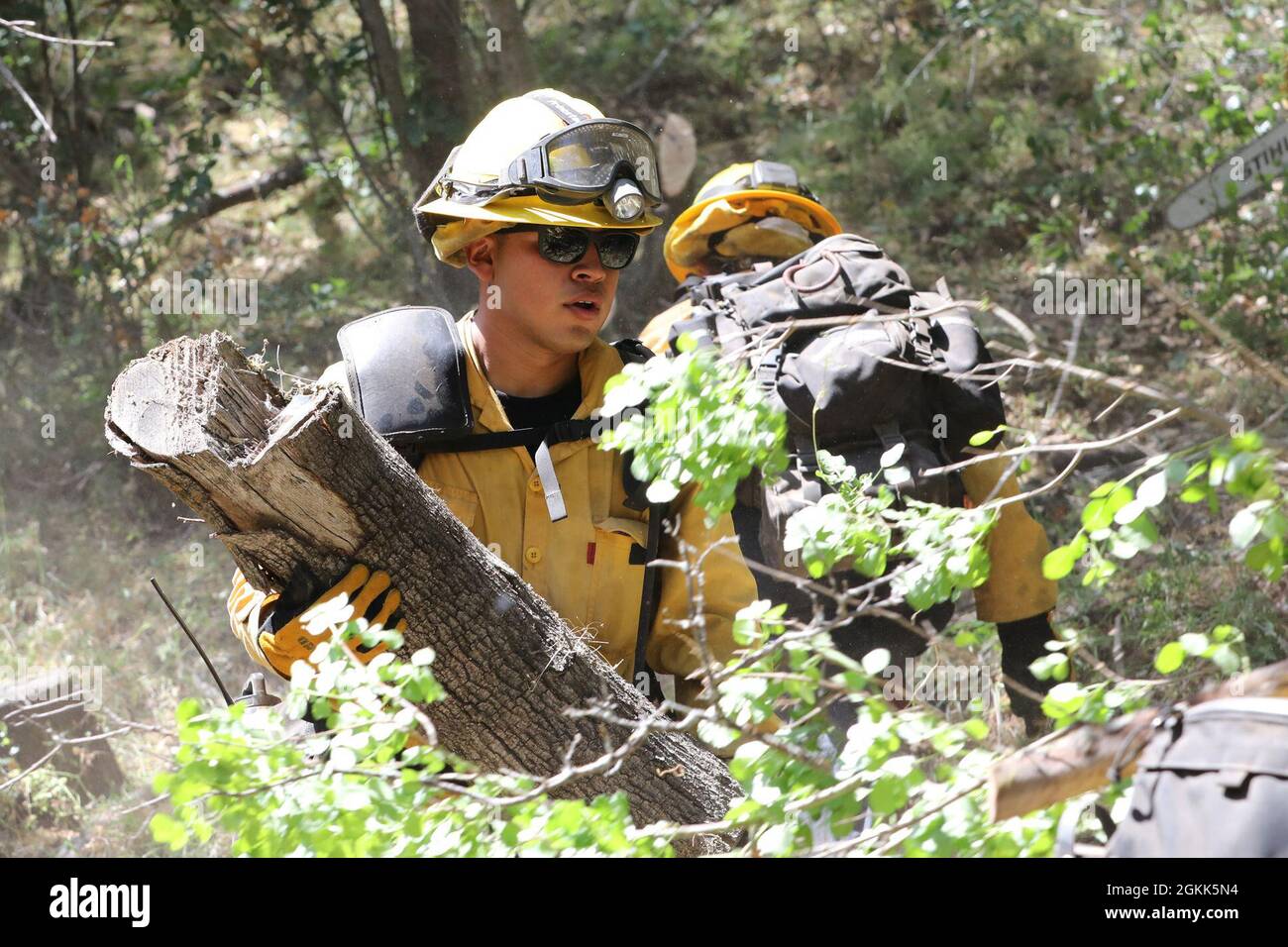 A California National Guardsman from Joint Task Force Rattlesnake ...