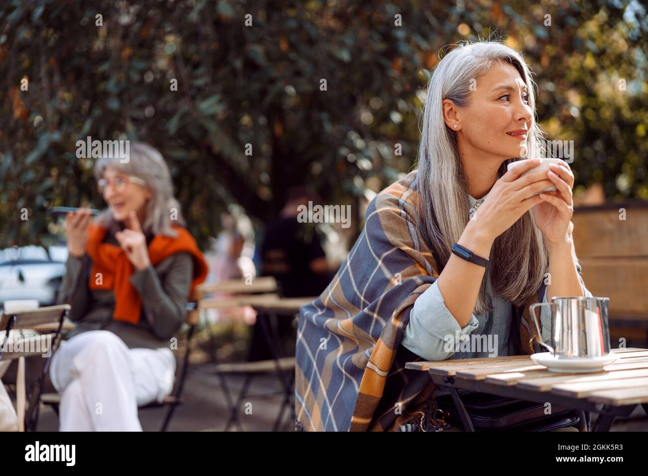 Senior cafe guests, focus on thoughtful hoary haired mature woman ...