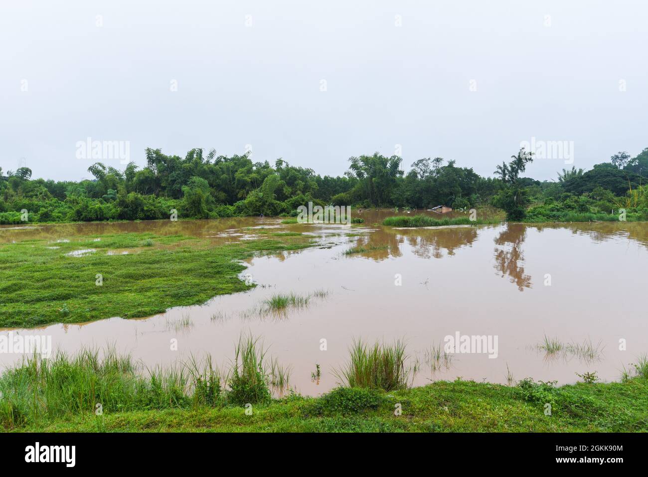 Aerial view river flood forest nature woodland area green tree, Top ...