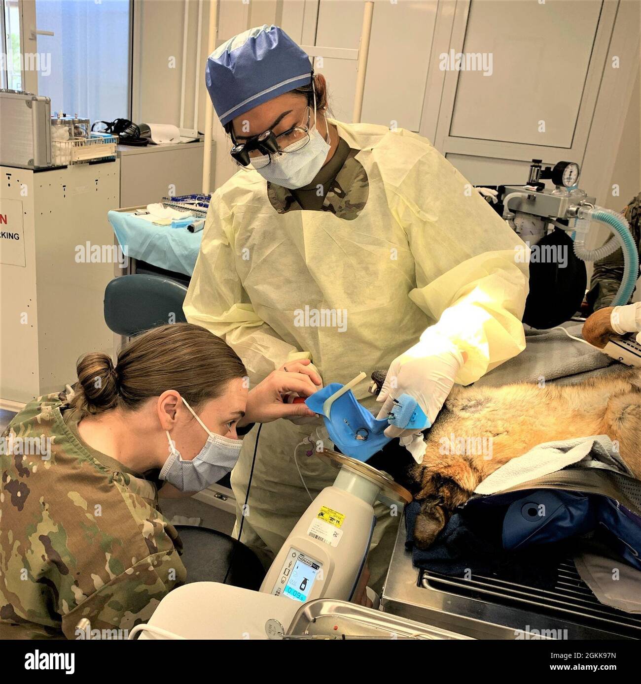When you think of Army dental care, you naturally think of care for ...