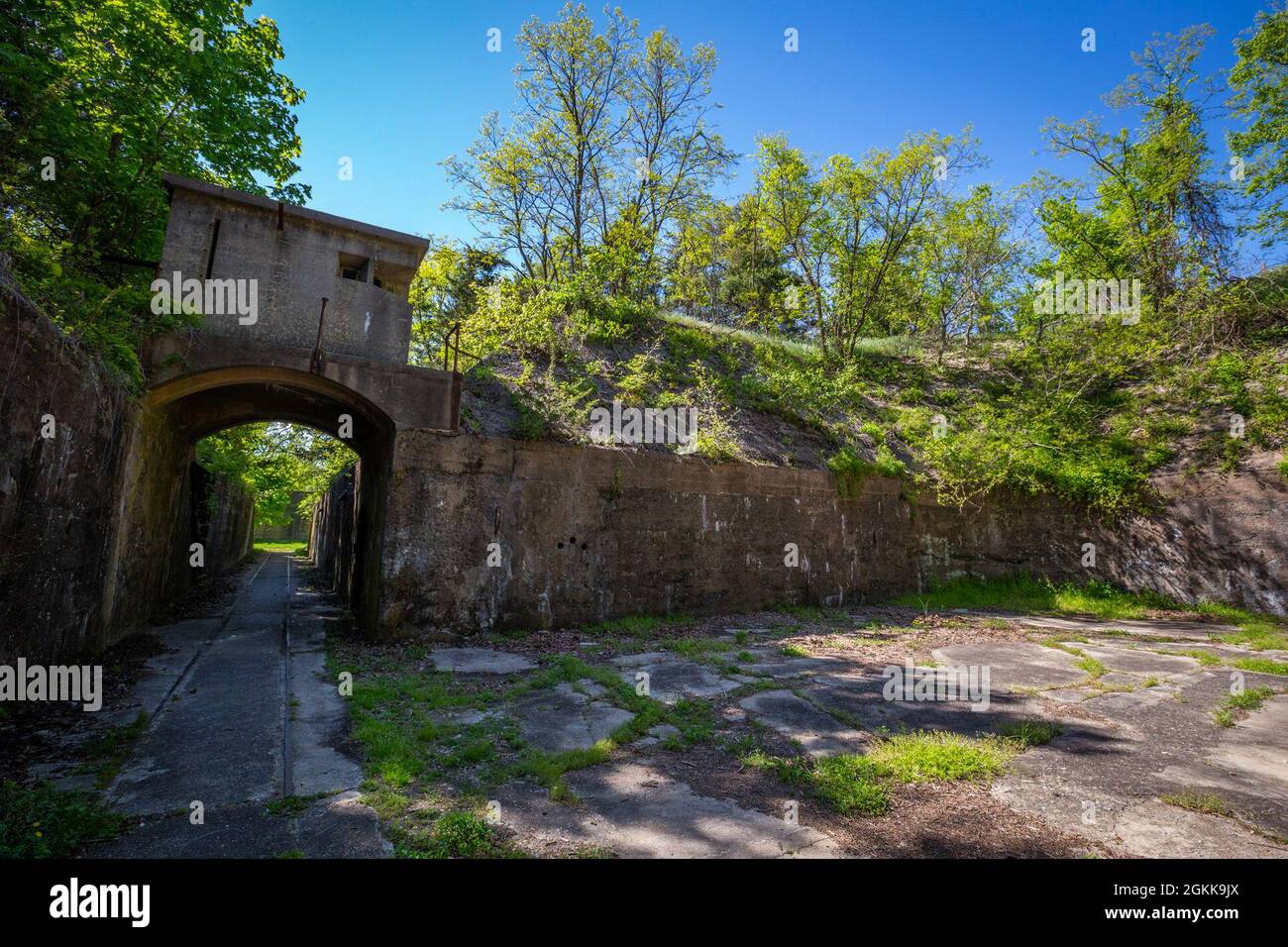 View of the Reynolds Mortar Battery – a prototype for future concrete ...