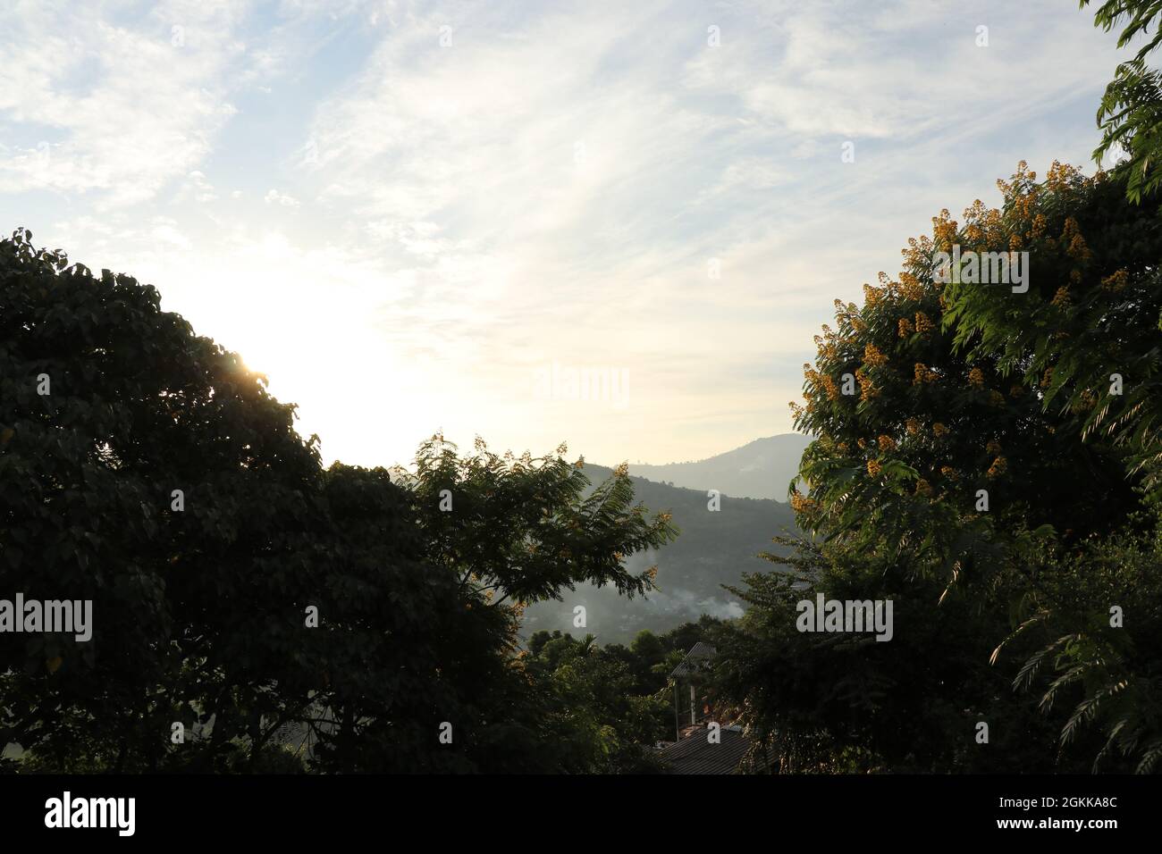 A beautiful landscape of the evening with flowery trees Stock Photo - Alamy