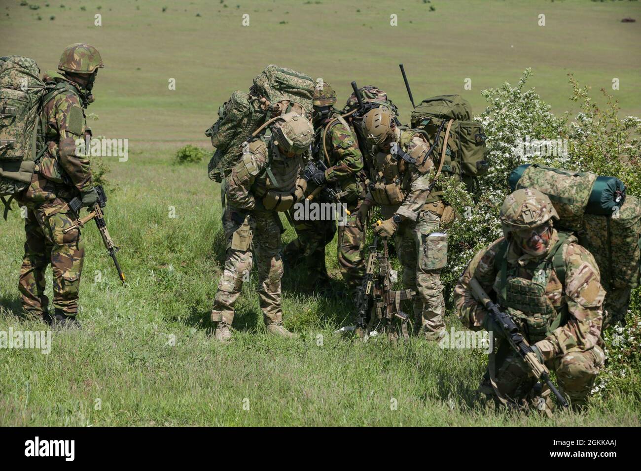 Netherlands soldiers assigned to 11th Airborne Battalion prepare to ...