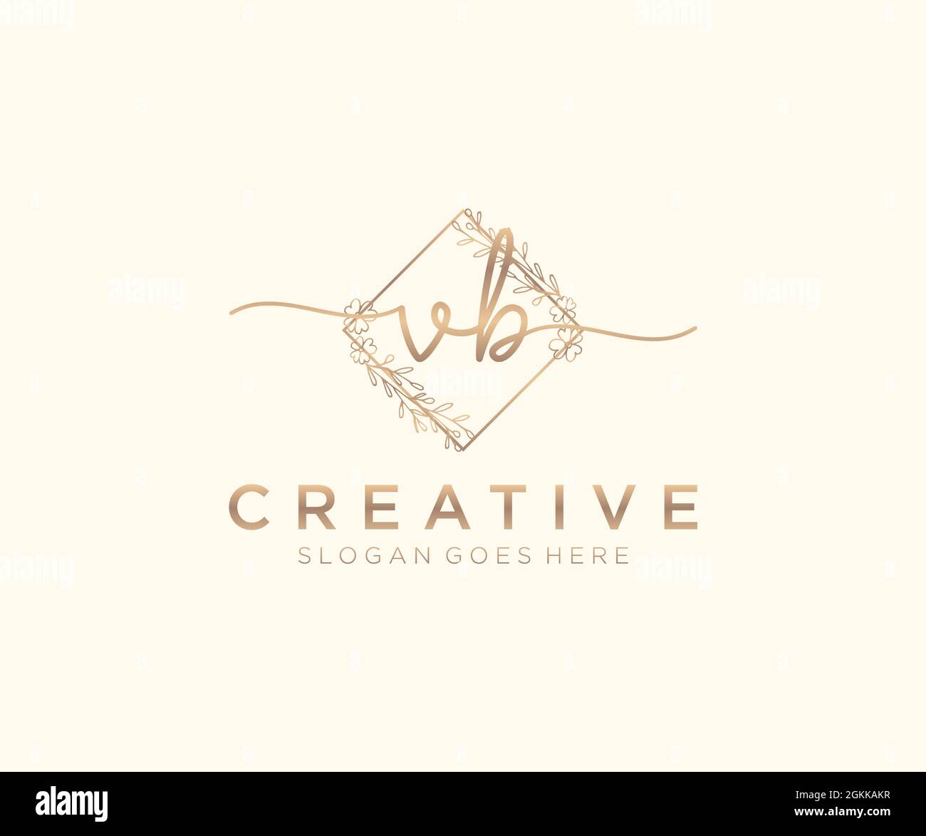VB Feminine logo beauty monogram and elegant logo design, handwriting ...