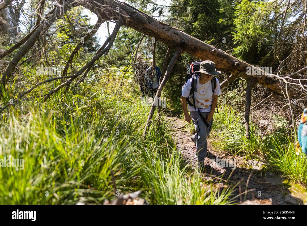 Baiersbronn, Germany. 25th Aug, 2021. A Junior Ranger walks under a ...