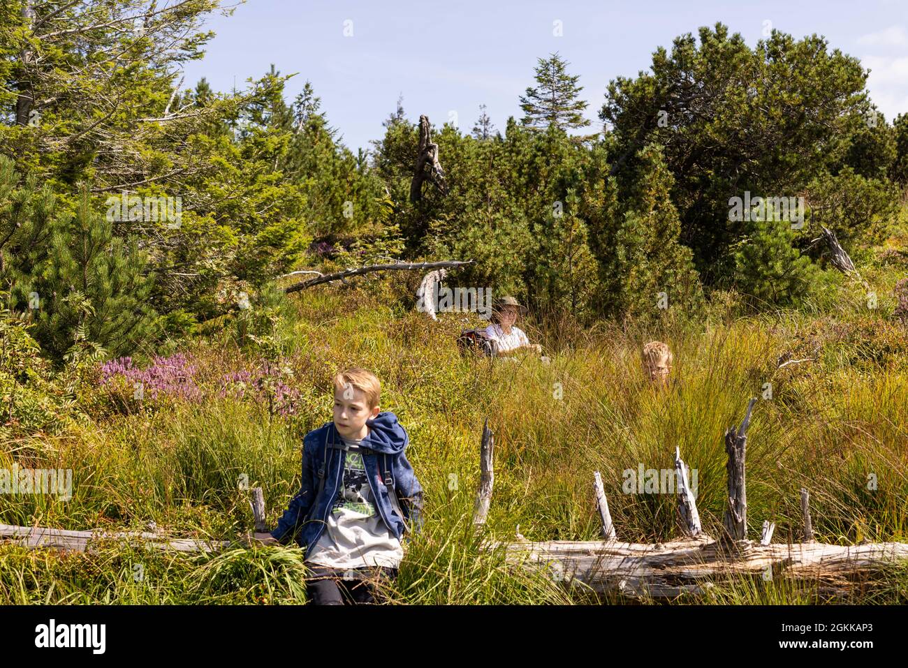 Junior ranger germany hi-res stock photography and images - Alamy