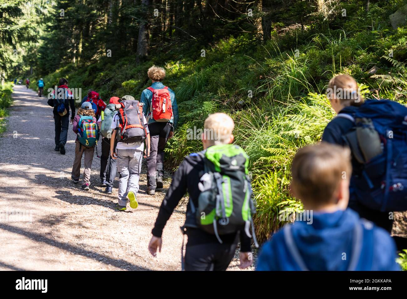 Baiersbronn, Germany. 25th Aug, 2021. A group of Junior Rangers walks ...