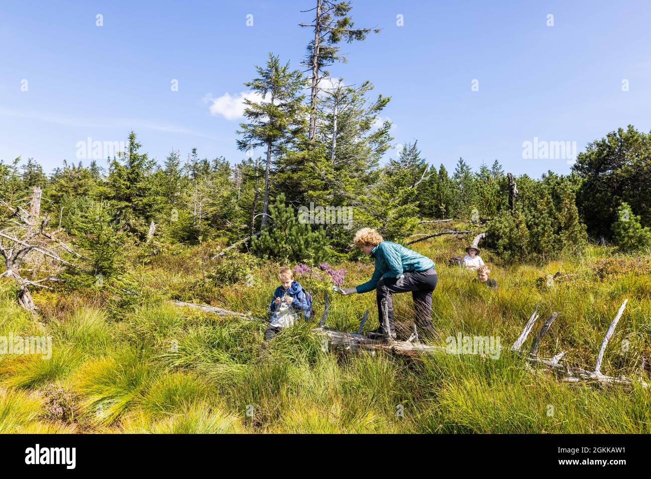 Junior ranger germany hi-res stock photography and images - Alamy