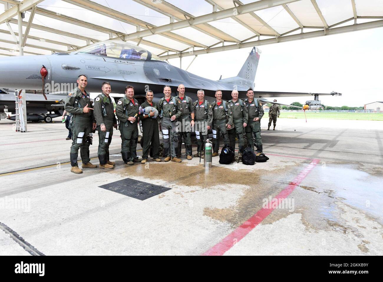 149 fighter wing hi-res stock photography and images - Alamy