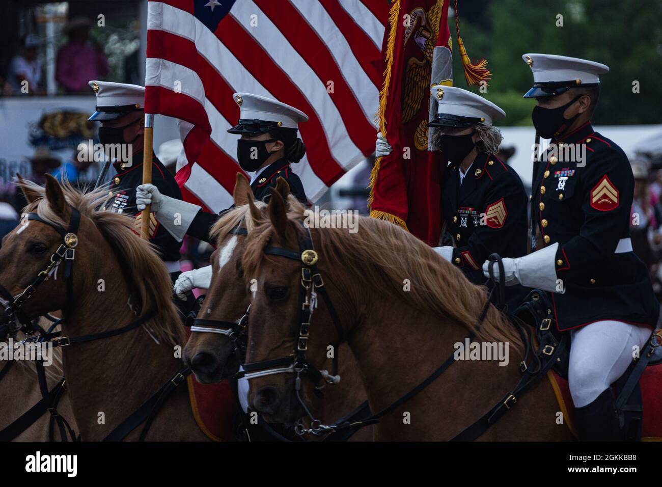 Marine corps mounted color guard hi-res stock photography and images ...